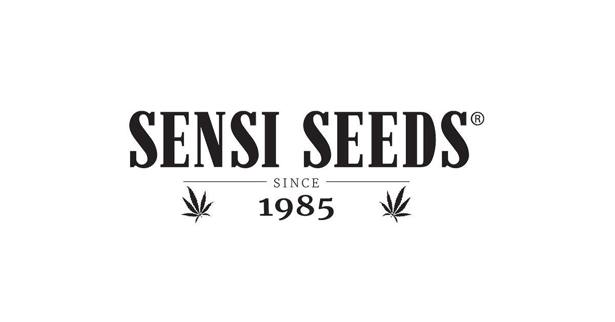 Avis Sensi Seeds : Opinion et Code Promo CBD (juillet 2025)